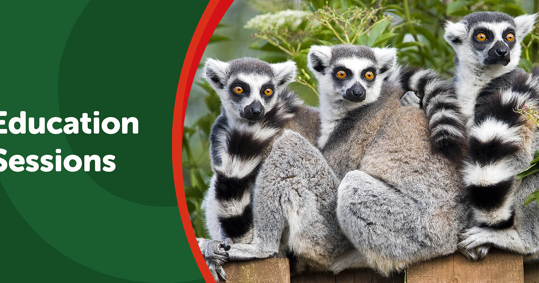 Education Sessions | Interactive Learning for Schools | Drayton Manor