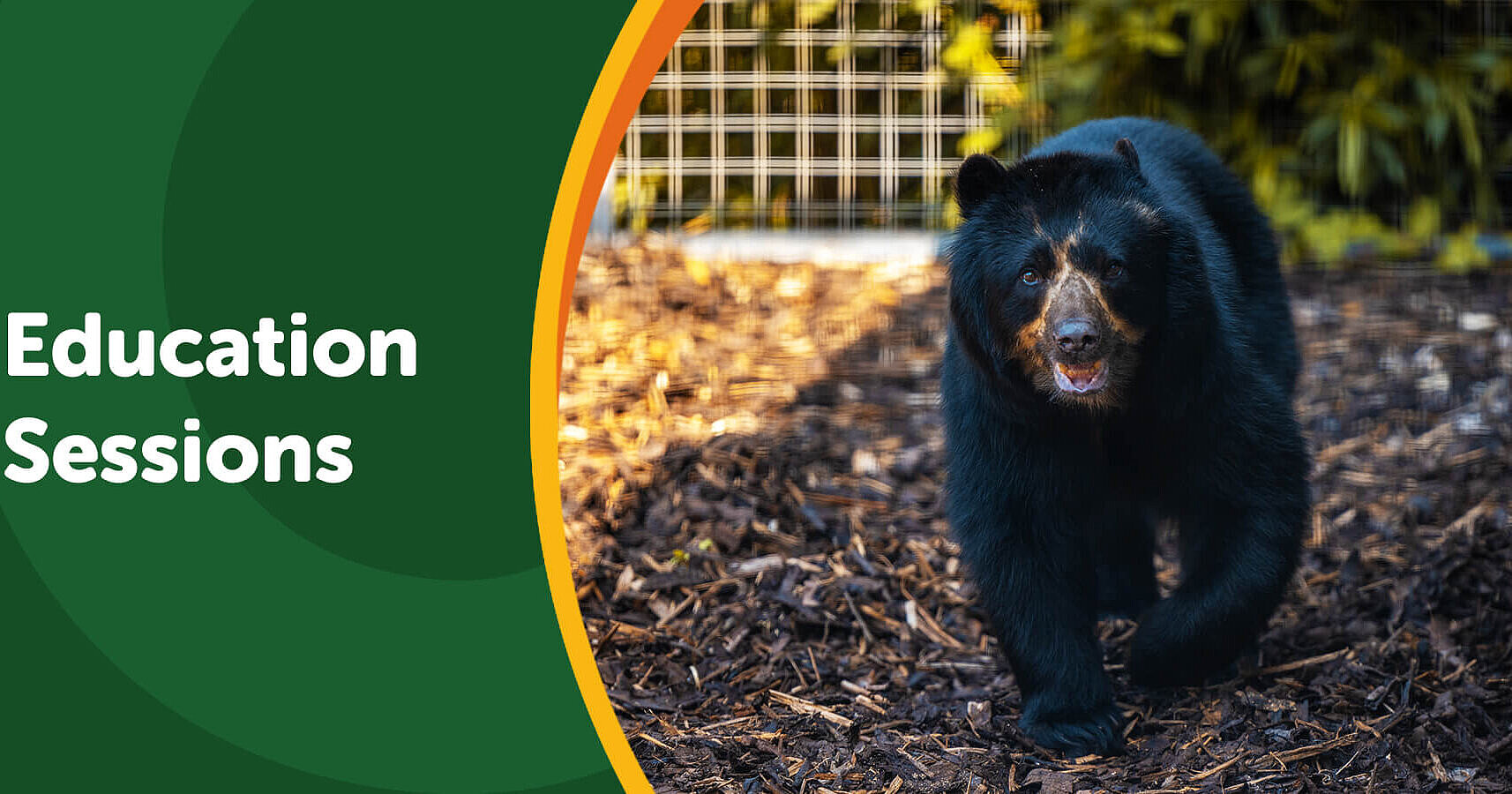 Education Sessions | Interactive Learning for Schools | Drayton Manor